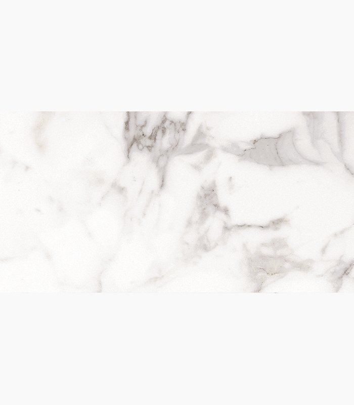 12×24 PALATINA BLANCO Matte Porcelain TILE – Natural Elegance Collection