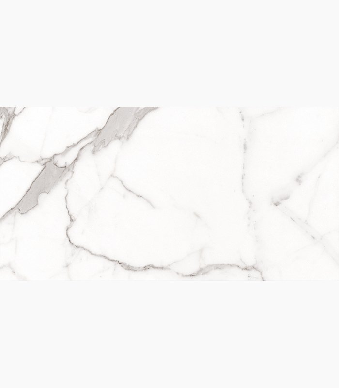 12×24 PALATINA BLANCO Matte Porcelain TILE – Natural Elegance Collection